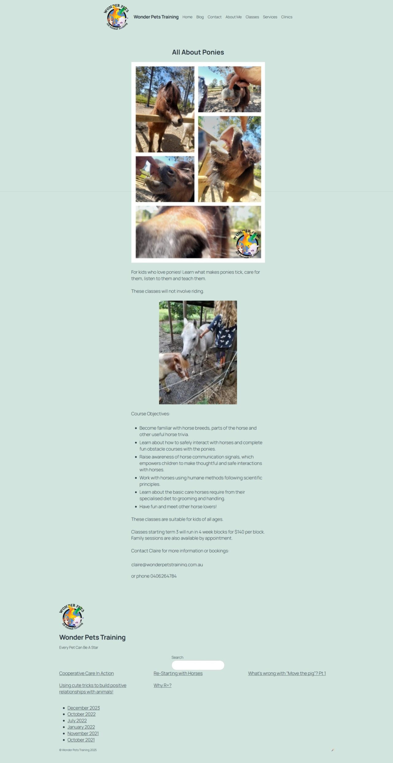 Website Modernisation for Wonder Pets Training | Wandering Webmaster